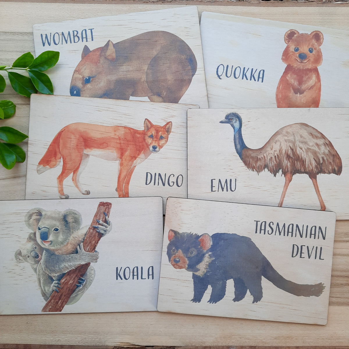 Australian Animals - flash cards – my little set