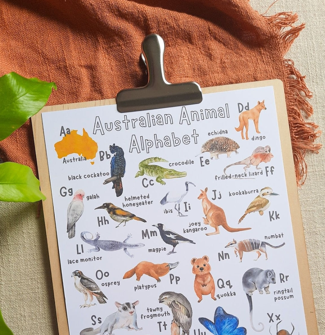 Australian Animal Alphabet - Printable – my little set